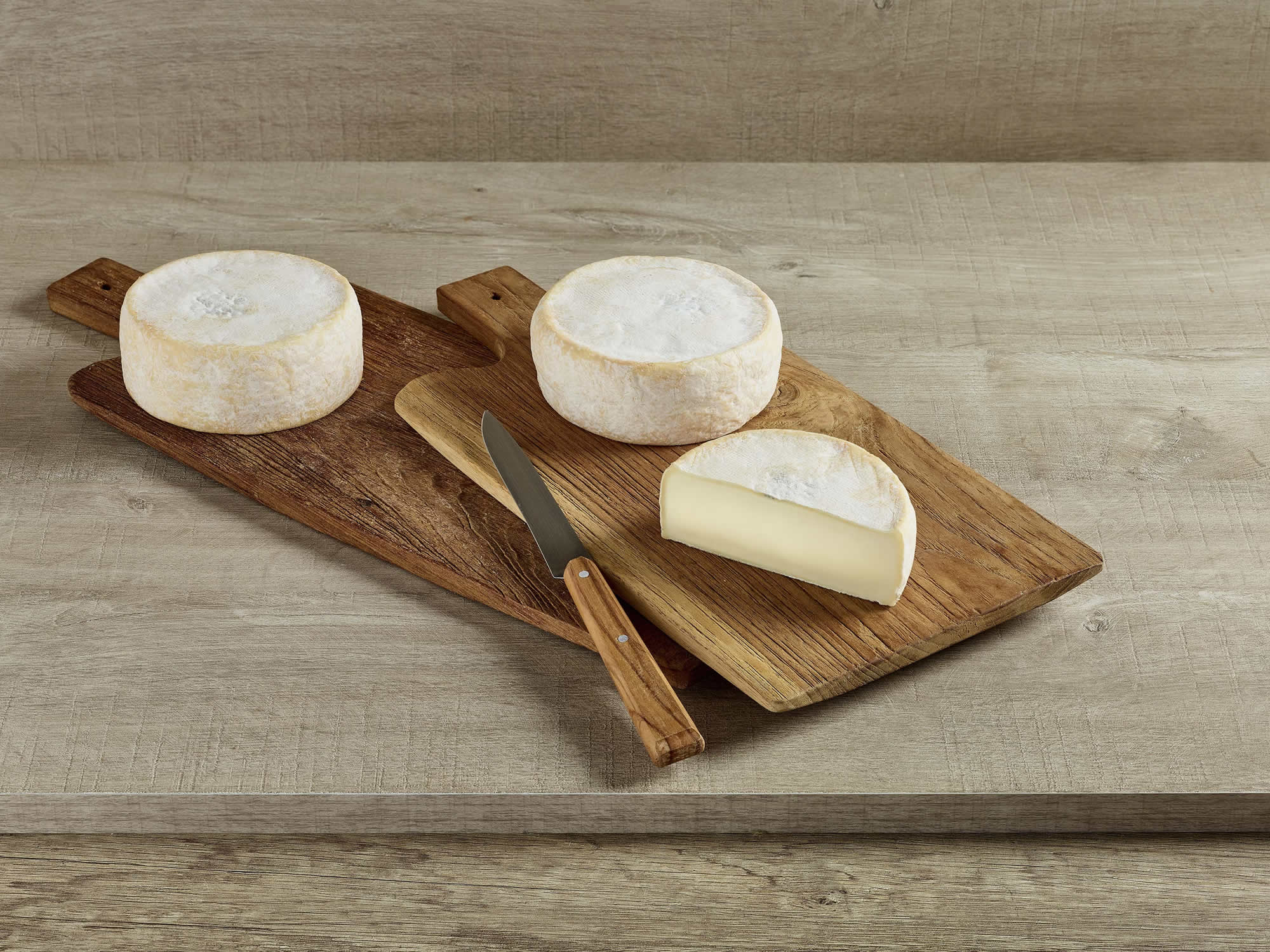 Chevrotin-Fromage de chèvre AOP-Savoie, Haute-Savoie_fromage prêt à ...