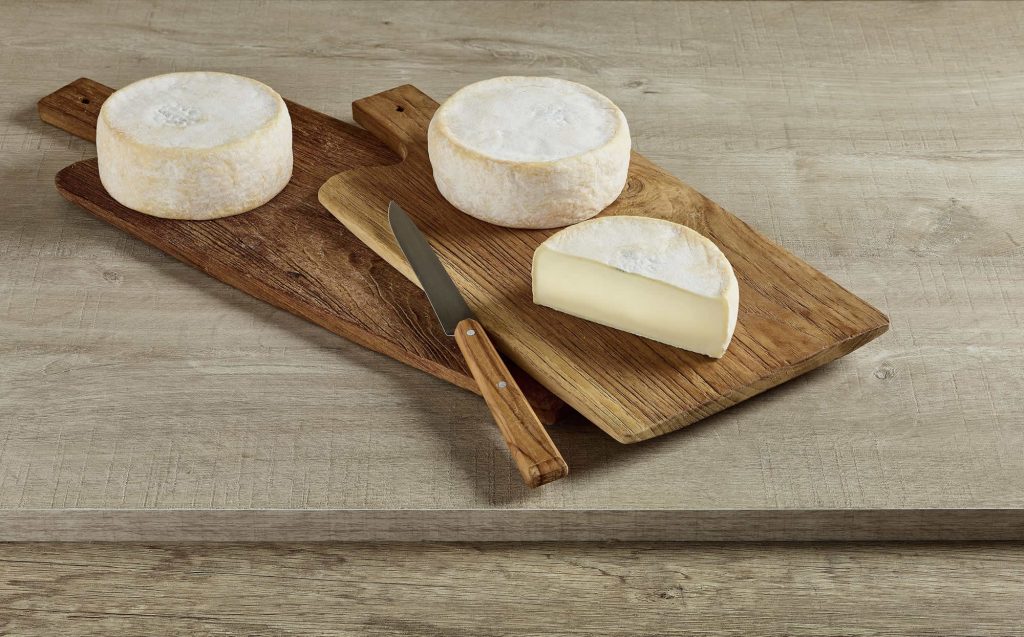 Chevrotin-Fromage de chèvre AOP-Savoie, Haute-Savoie_fromage prêt à ...