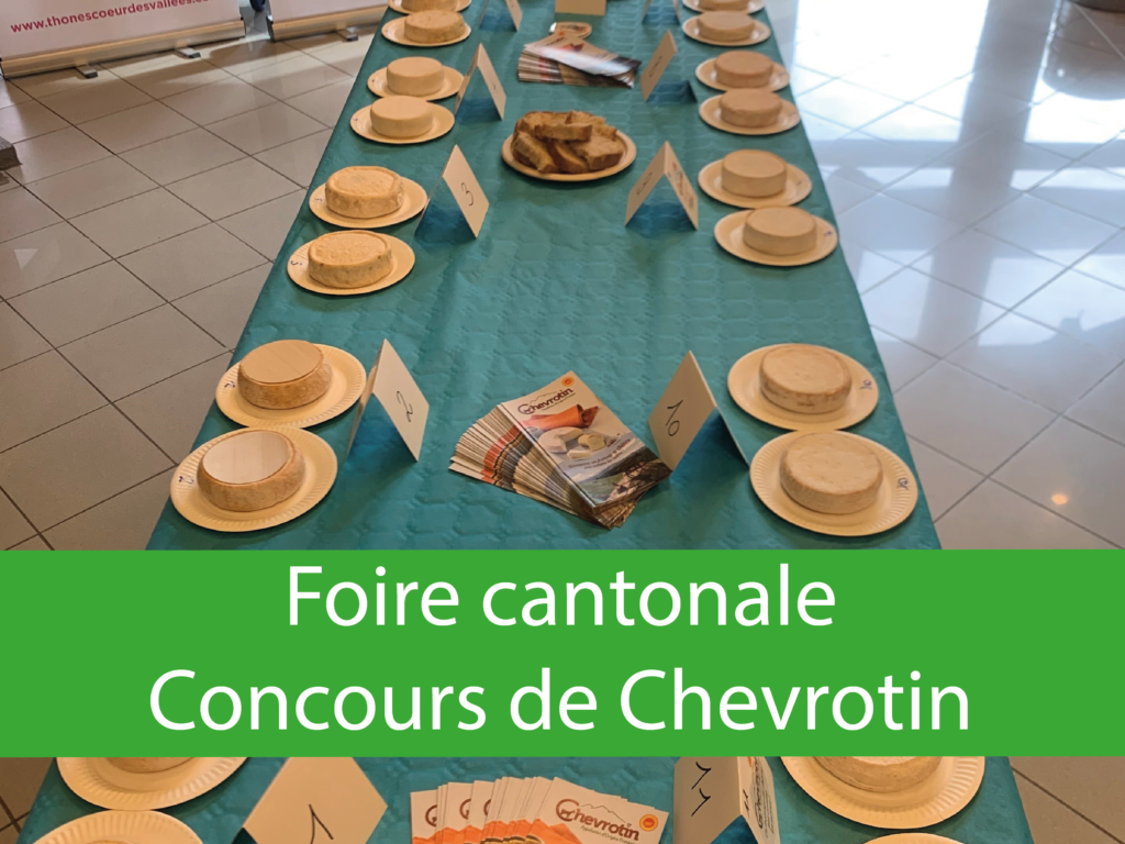 Chevrotin | Fromage de chèvre AOP | Savoie, Haute-Savoie